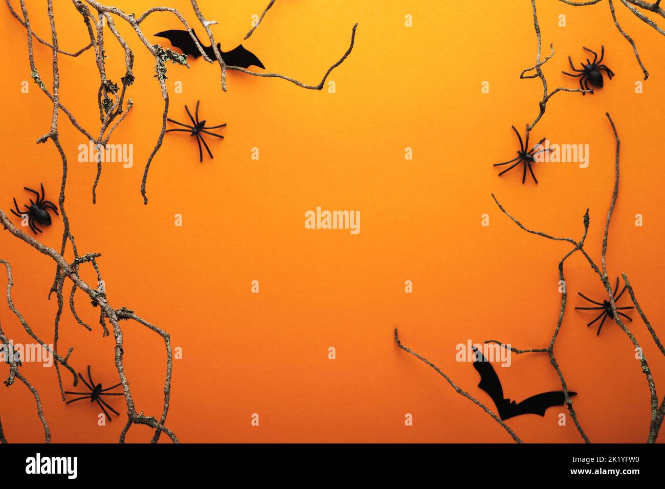 Halloween background. Flock of black bats, spider, pumpkin, skeleton ...