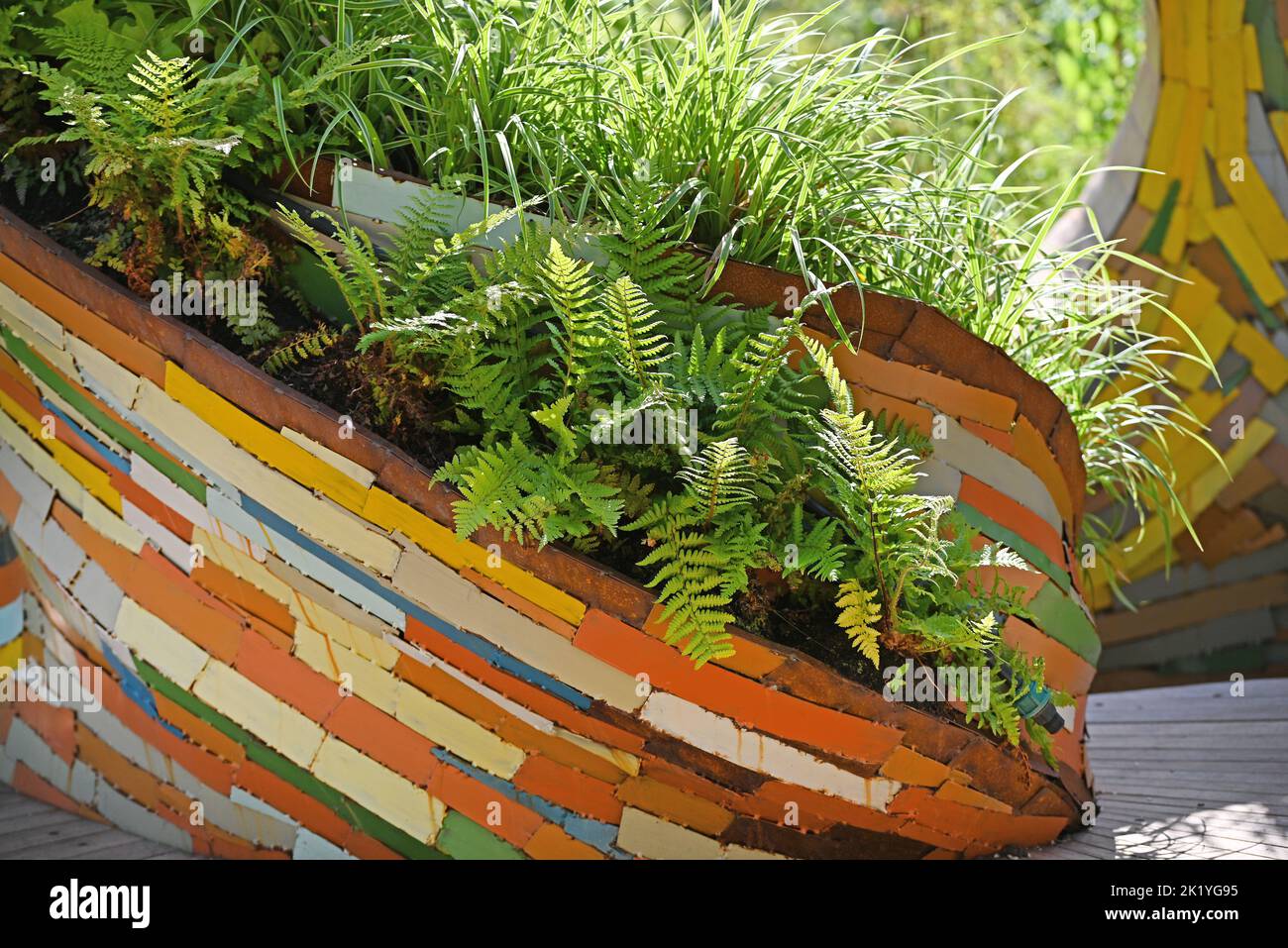 Fern and grass in a colorful garden setting Stock Photo - Alamy