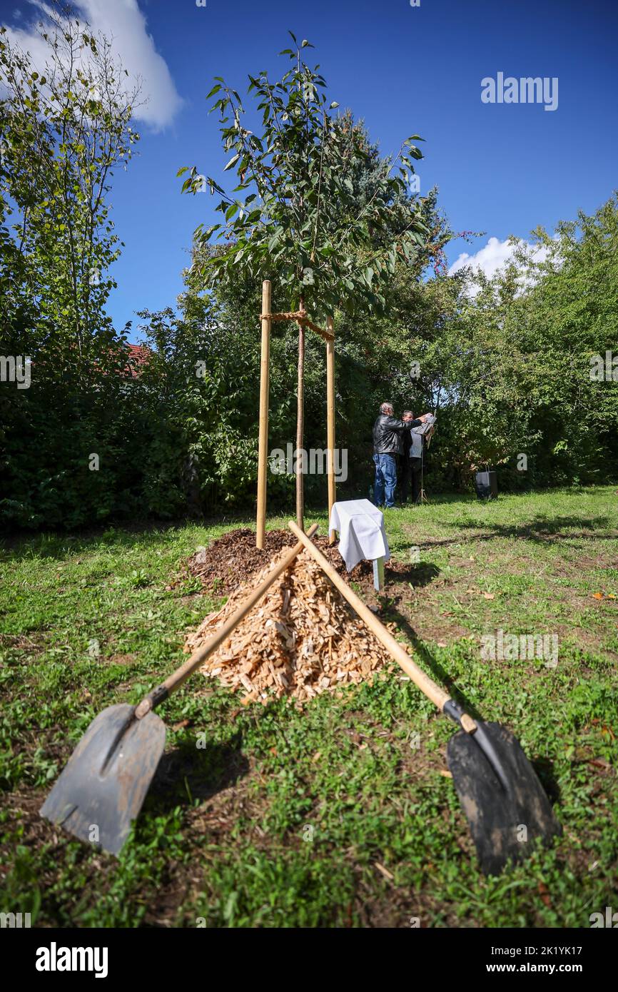 Tree planting plaque hi-res stock photography and images - Alamy