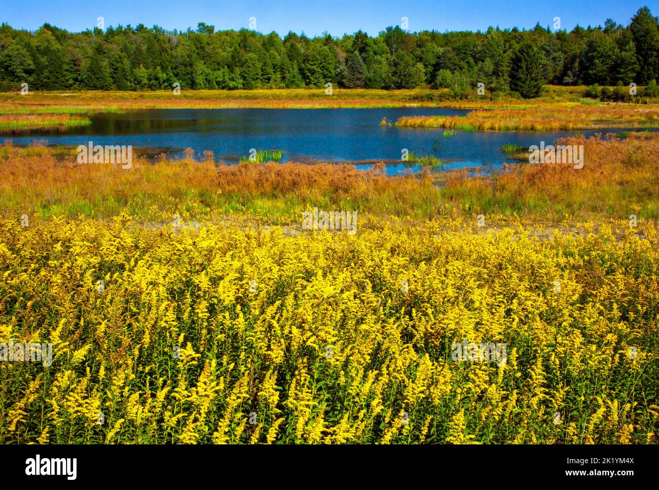 Upper Klondike Pond, along with its sister Lower Klondike Pond, on the ...