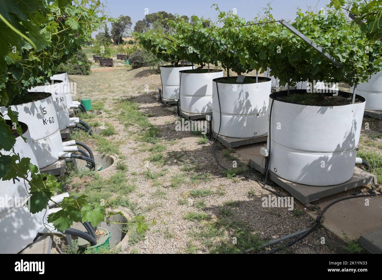 Volcani center hi-res stock photography and images - Alamy