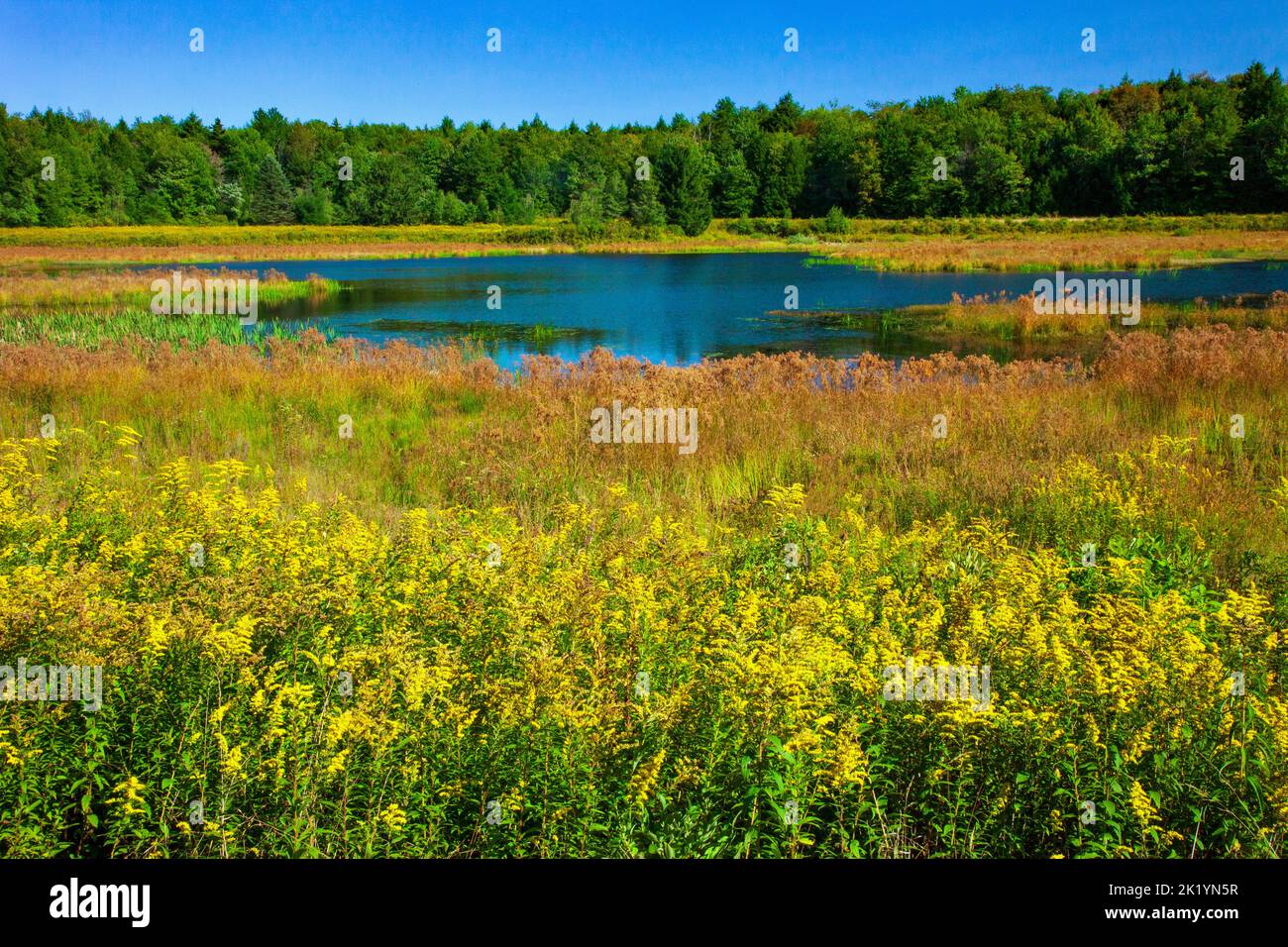 Upper Klondike Pond, along with its sister Lower Klondike Pond, on the ...