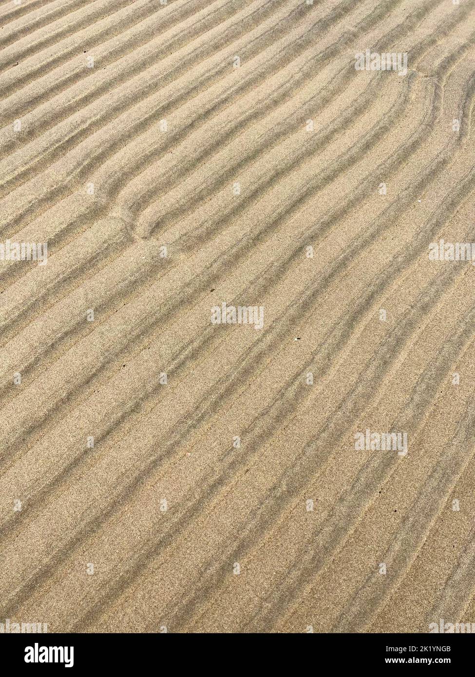 Textures in sand shaped hi-res stock photography and images - Alamy