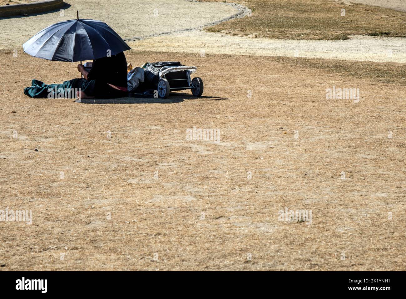 Burnt grass in a public parc due to a lack of rain and water - Person ...