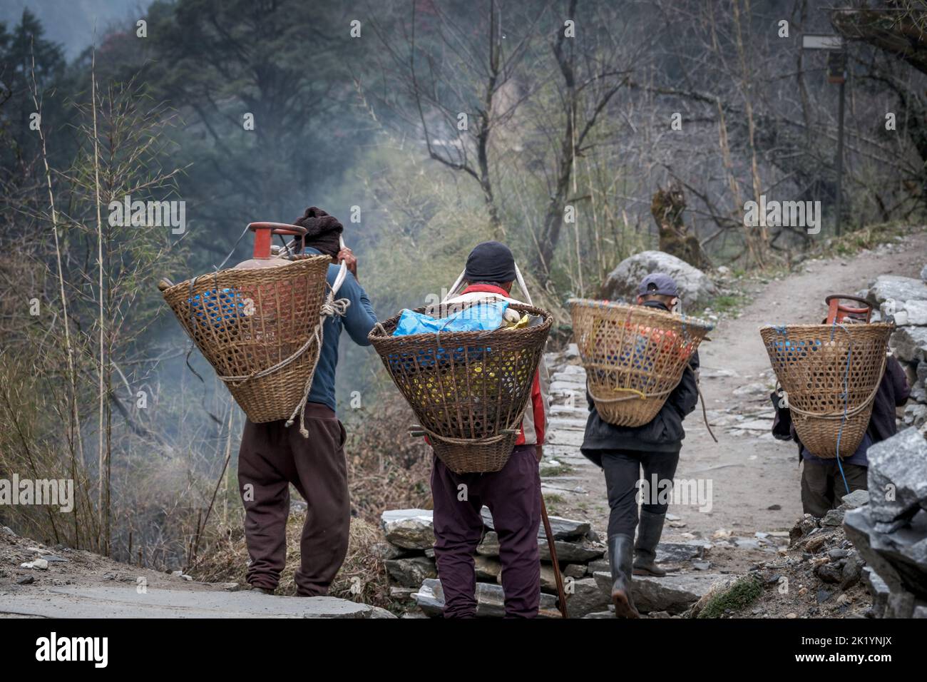 The Sherpas carrying supplies to the village in the Annapurna mountain ...