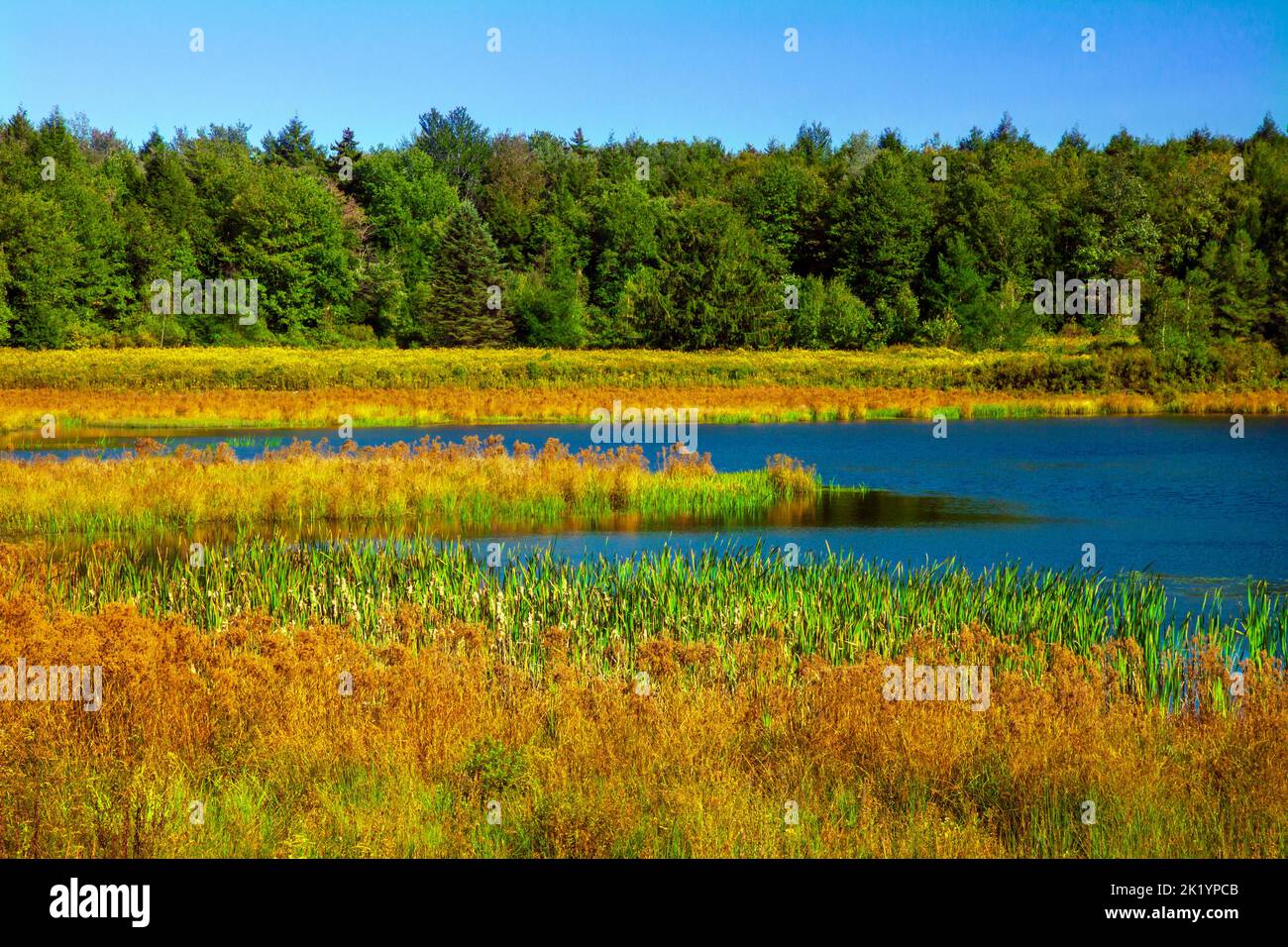 Klondike ponds hi-res stock photography and images - Alamy