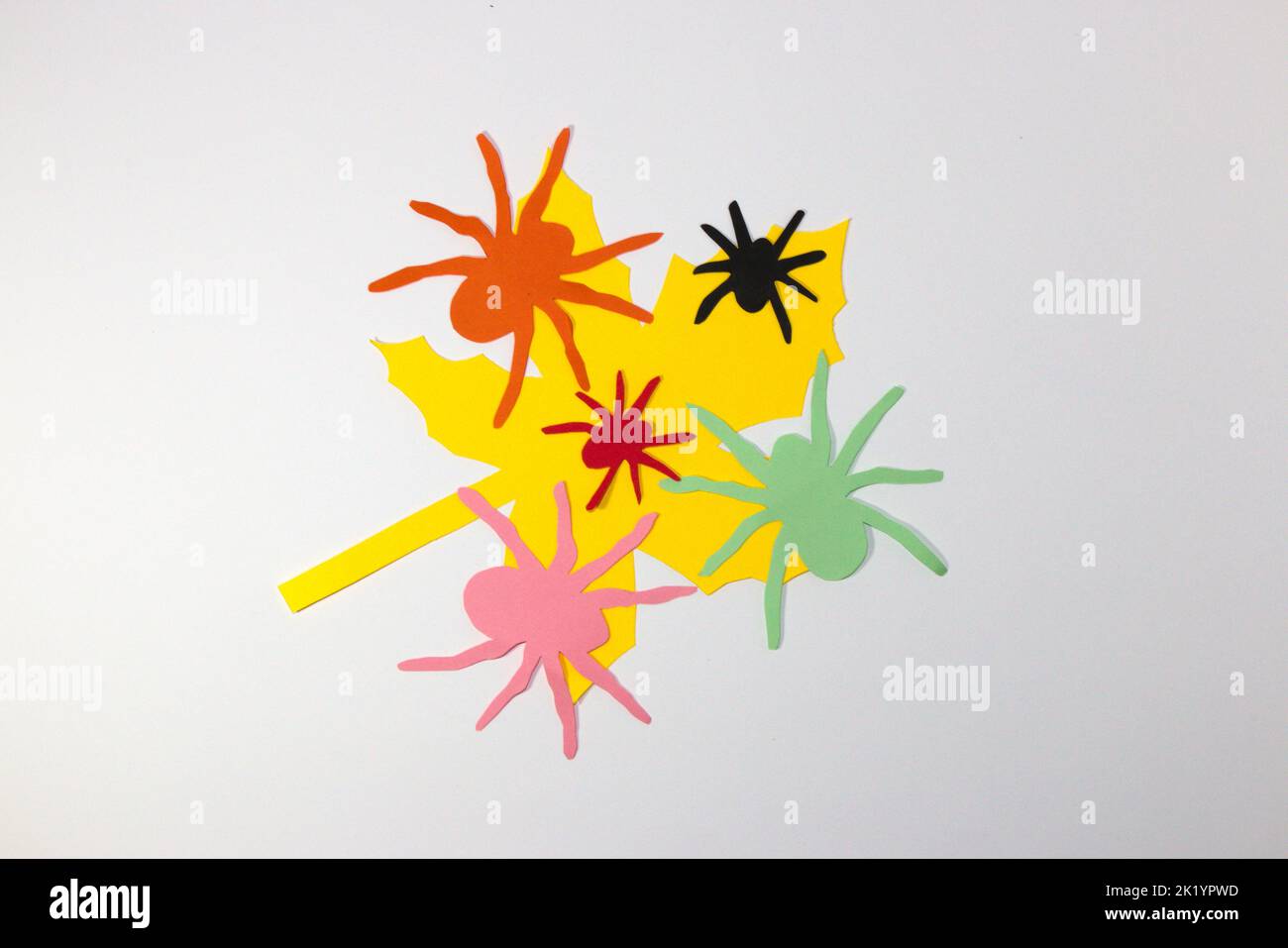 colorful spiders on maple leaf, white background, creative art design ...