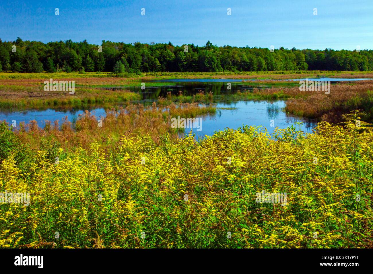 Upper Klondike Pond, along with its sister Lower Klondike Pond, on the ...