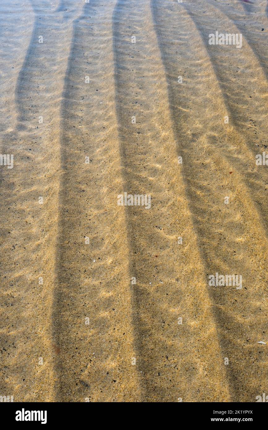 RIPPLES IN THE SAND PHOTOGRAPHED THROUGH THE SEA WATER Stock Photo - Alamy