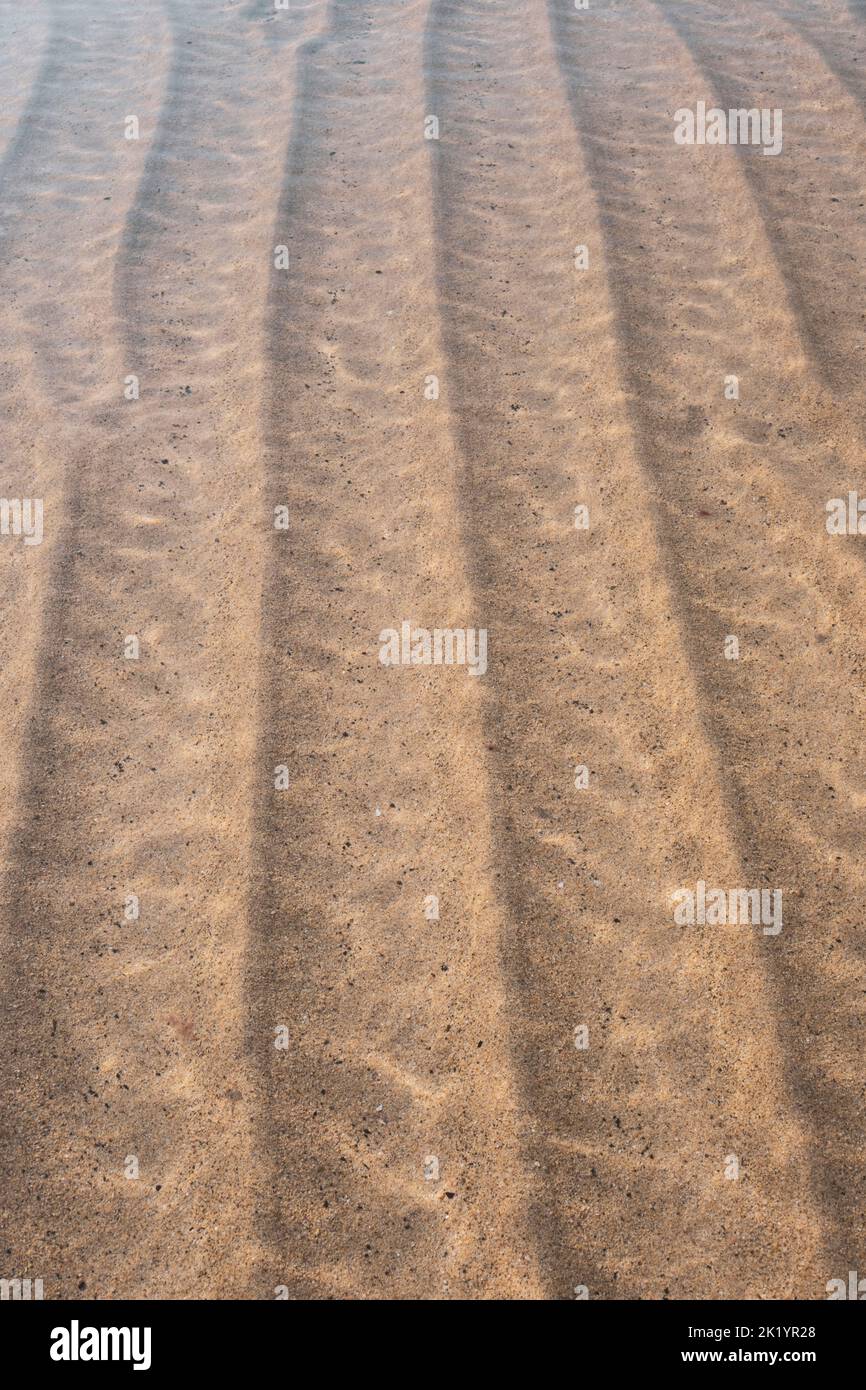 RIPPLES IN THE SAND PHOTOGRAPHED THROUGH THE SEA WATER Stock Photo - Alamy RIPPLES IN THE SAND PHOTOGRAPHED THROUGH THE SEA WATER Stock Photo - Alamy