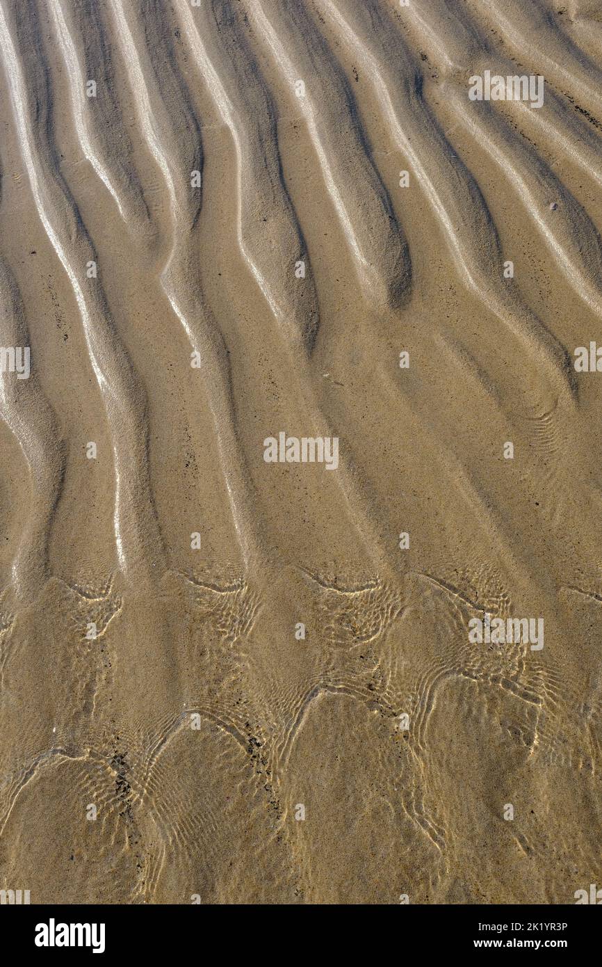 RIPPLES IN THE SAND PHOTOGRAPHED THROUGH THE SEA WATER Stock Photo - Alamy