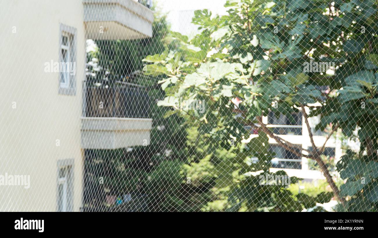 Cat safety net in balcony. Balcony net for cats Stock Photo - Alamy