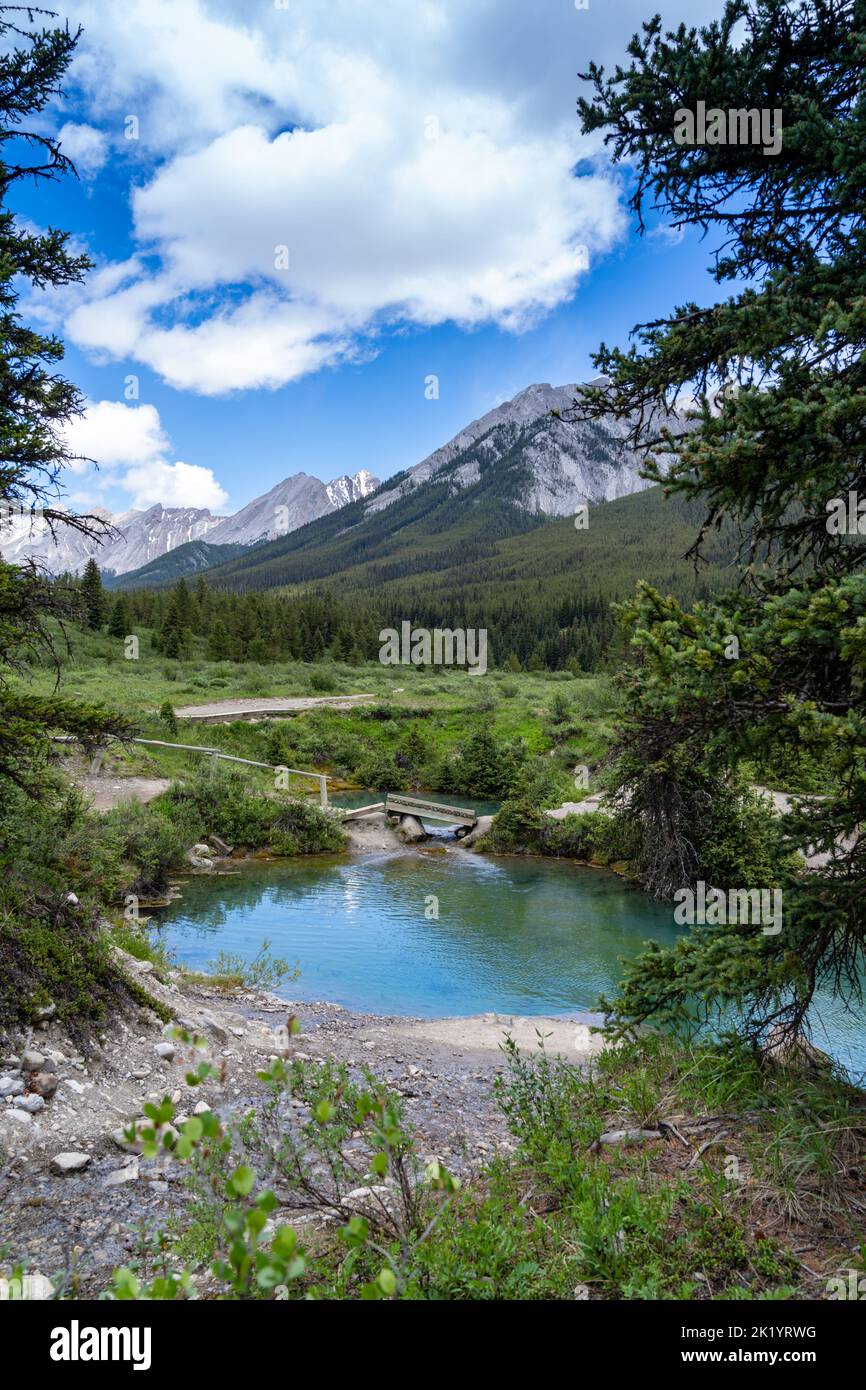 Ink Pots in Banff National Park during summer Stock Photo - Alamy