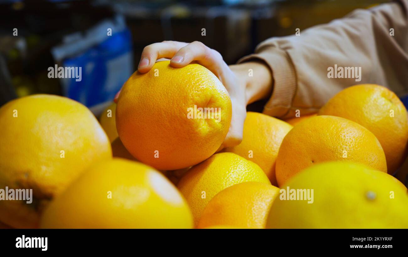 A selection of grapefruit in a supermarket, a woman's hand picking up ...