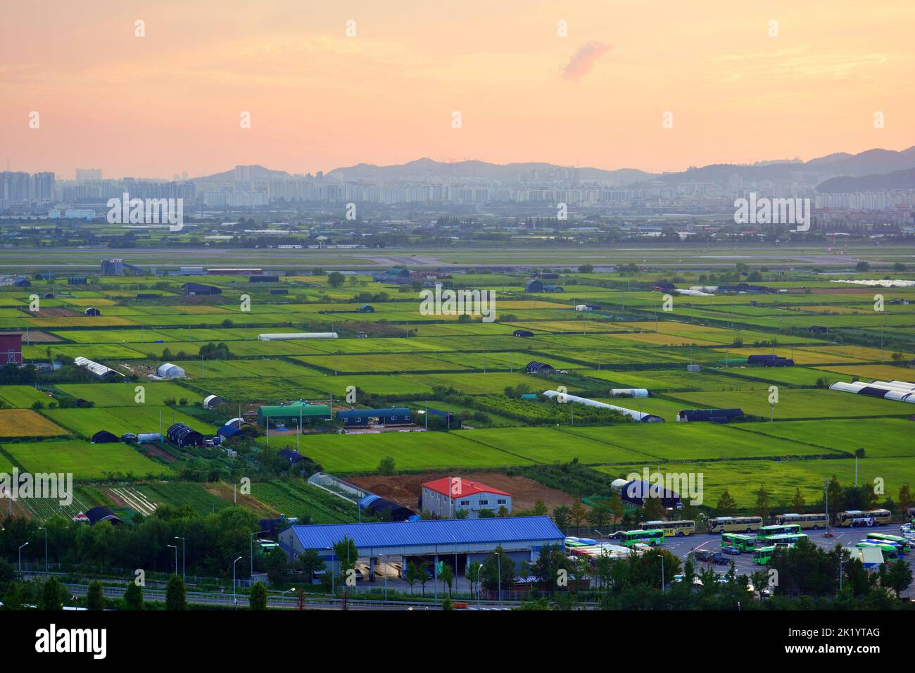 Korean rice fields Stock Photo - Alamy