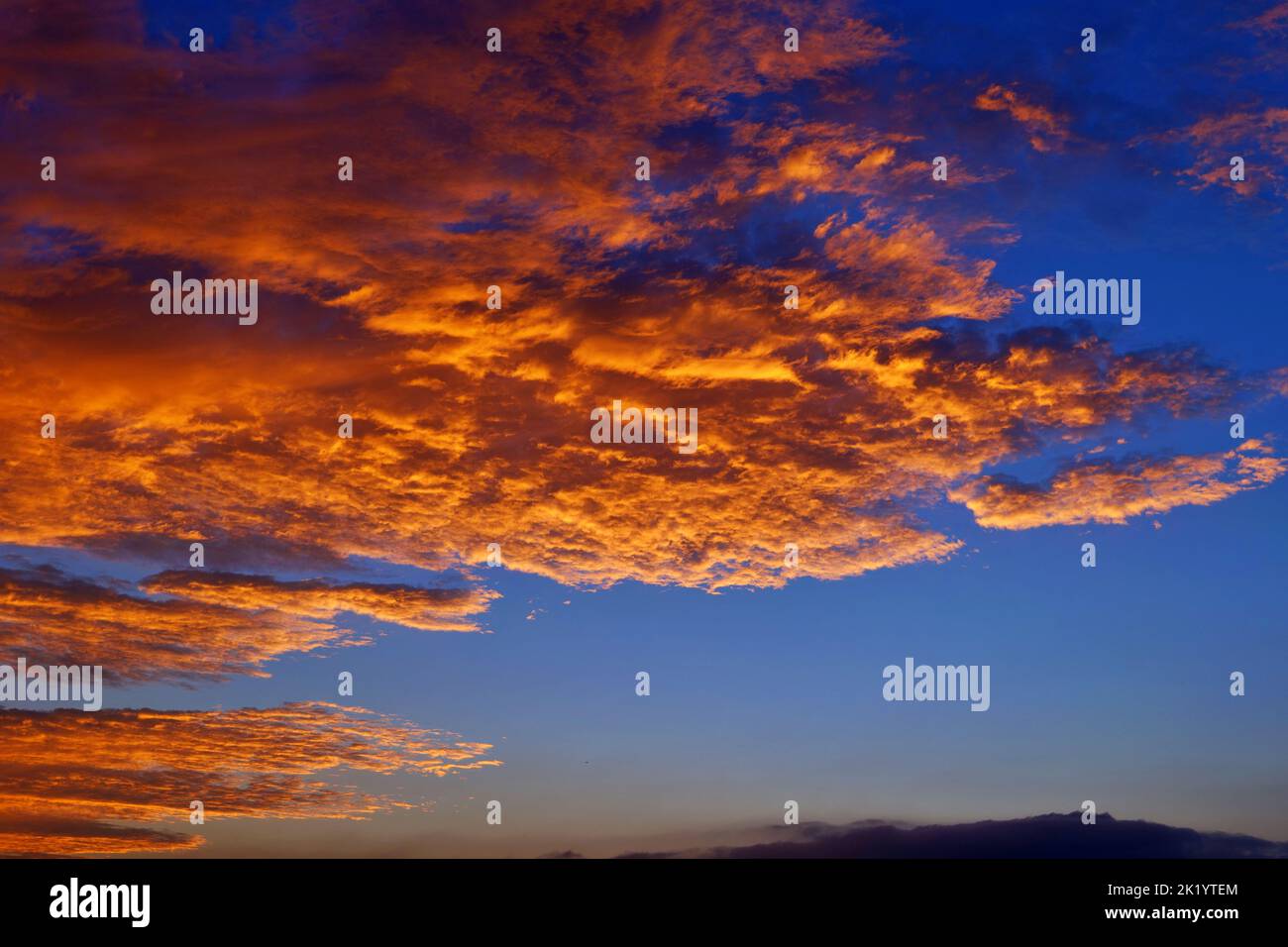 Orange discoloration hi-res stock photography and images - Alamy