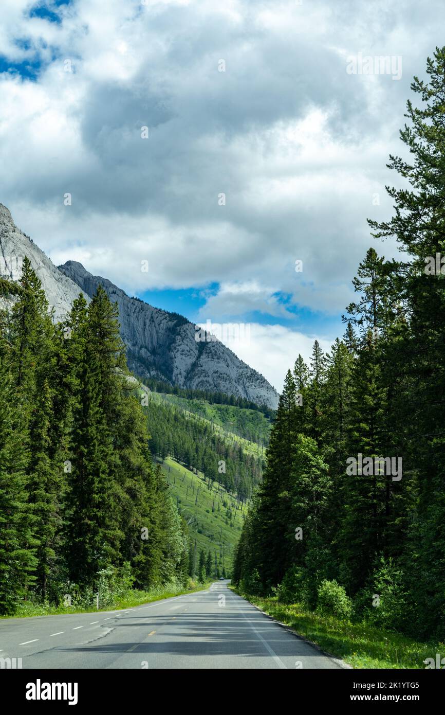 Bow Valley Parkway in Banff National Park in summer Stock Photo - Alamy