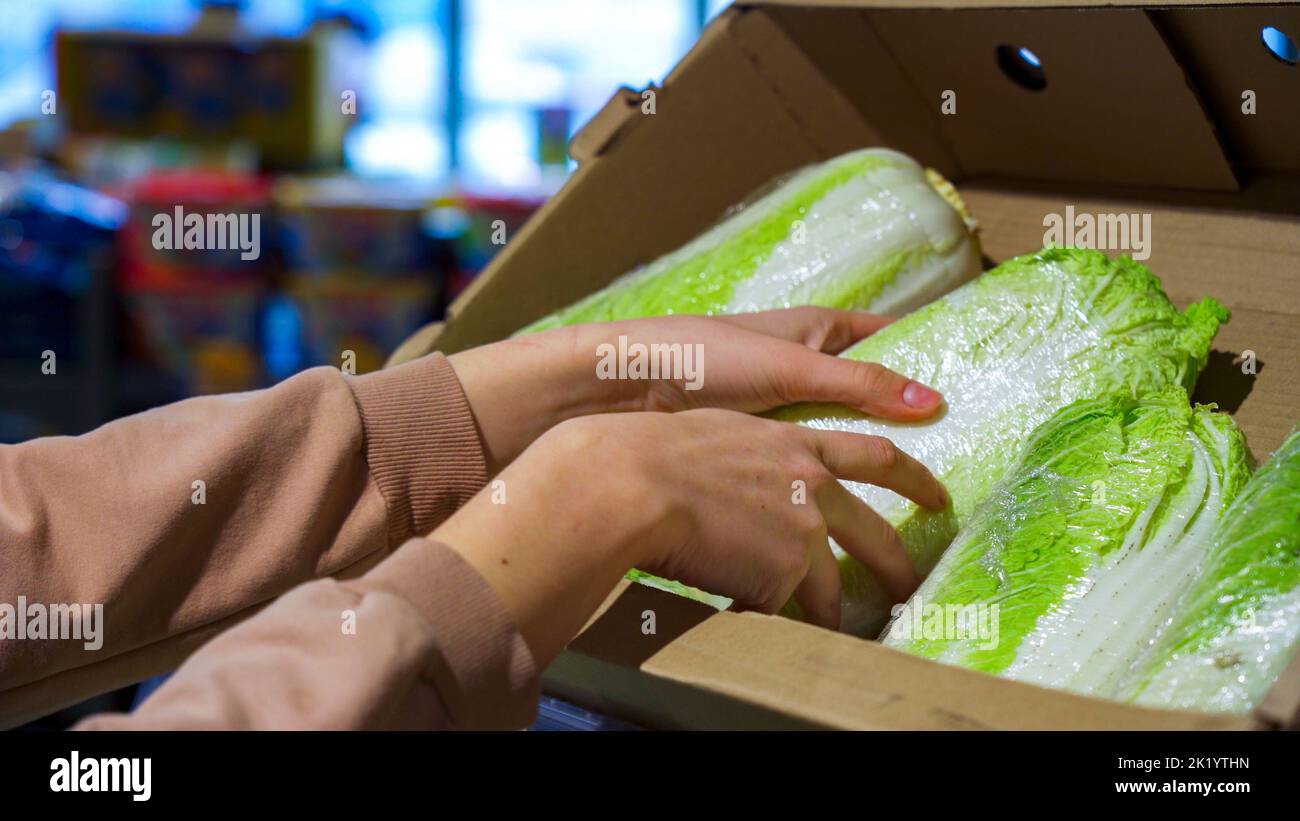 Woman choosing fresh cabbage in hi-res stock photography and images - Alamy