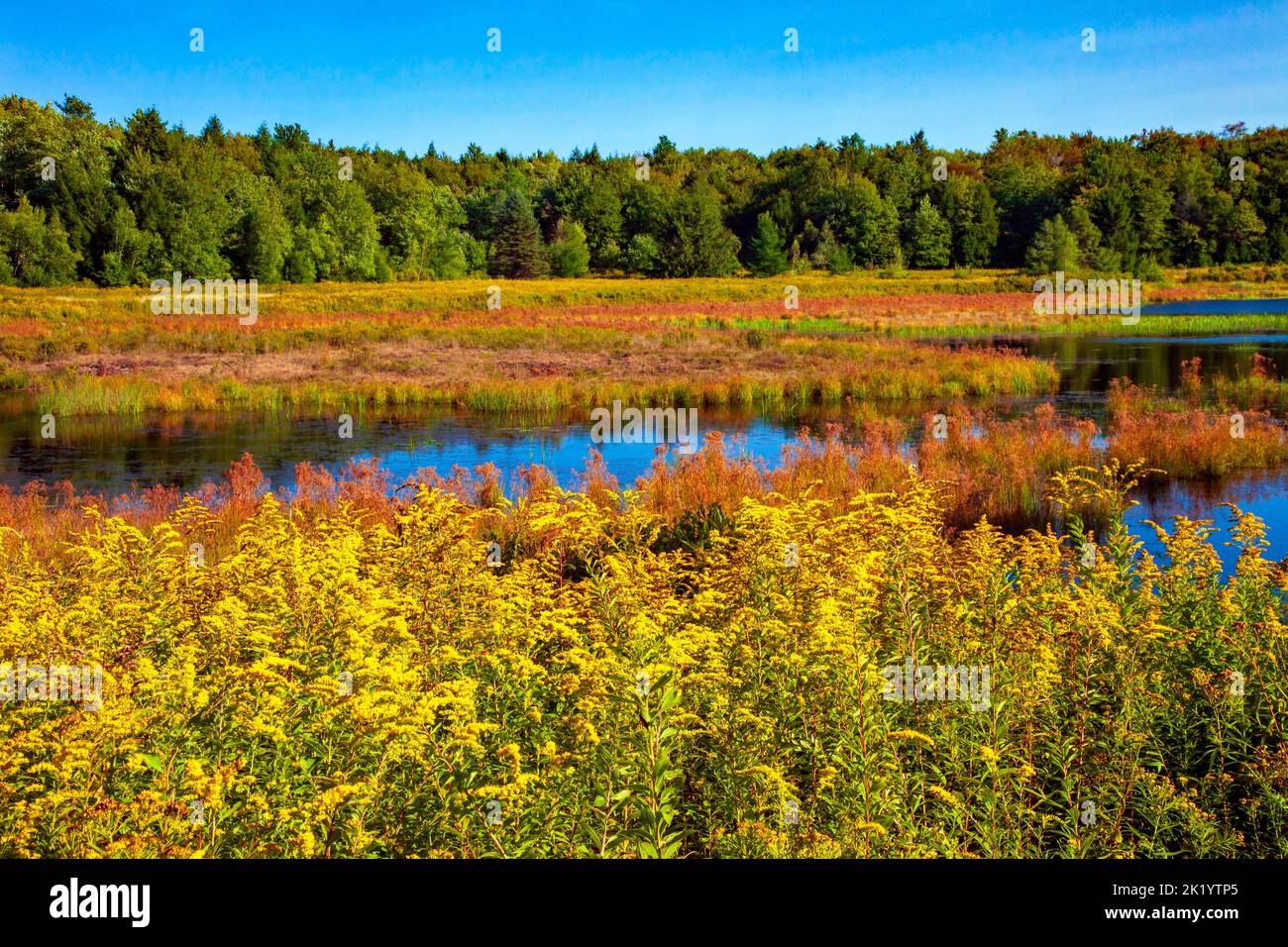Upper Klondike Pond, along with its sister Lower Klondike Pond, on the ...