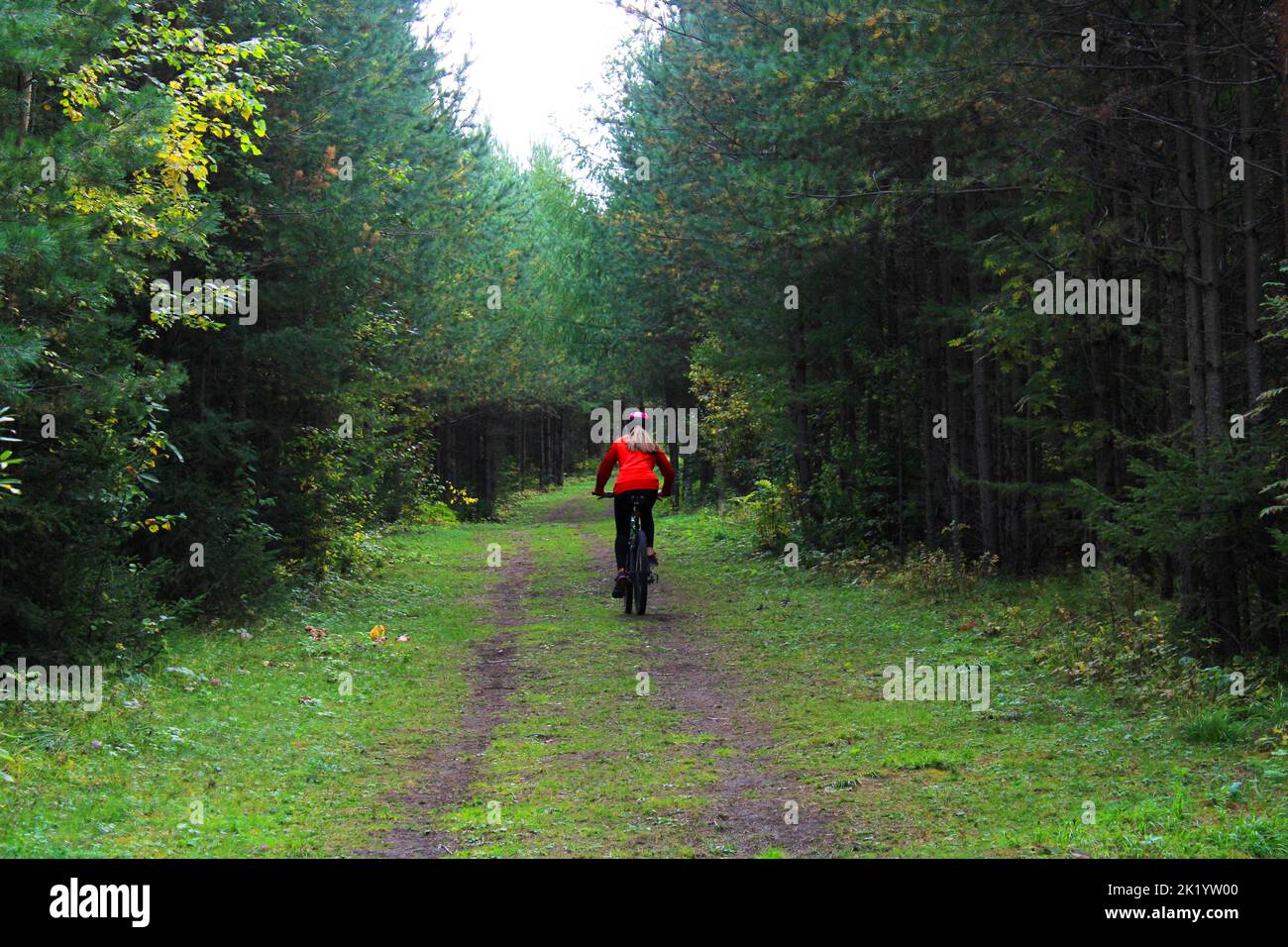 Bike ride through the woods hi-res stock photography and images - Alamy