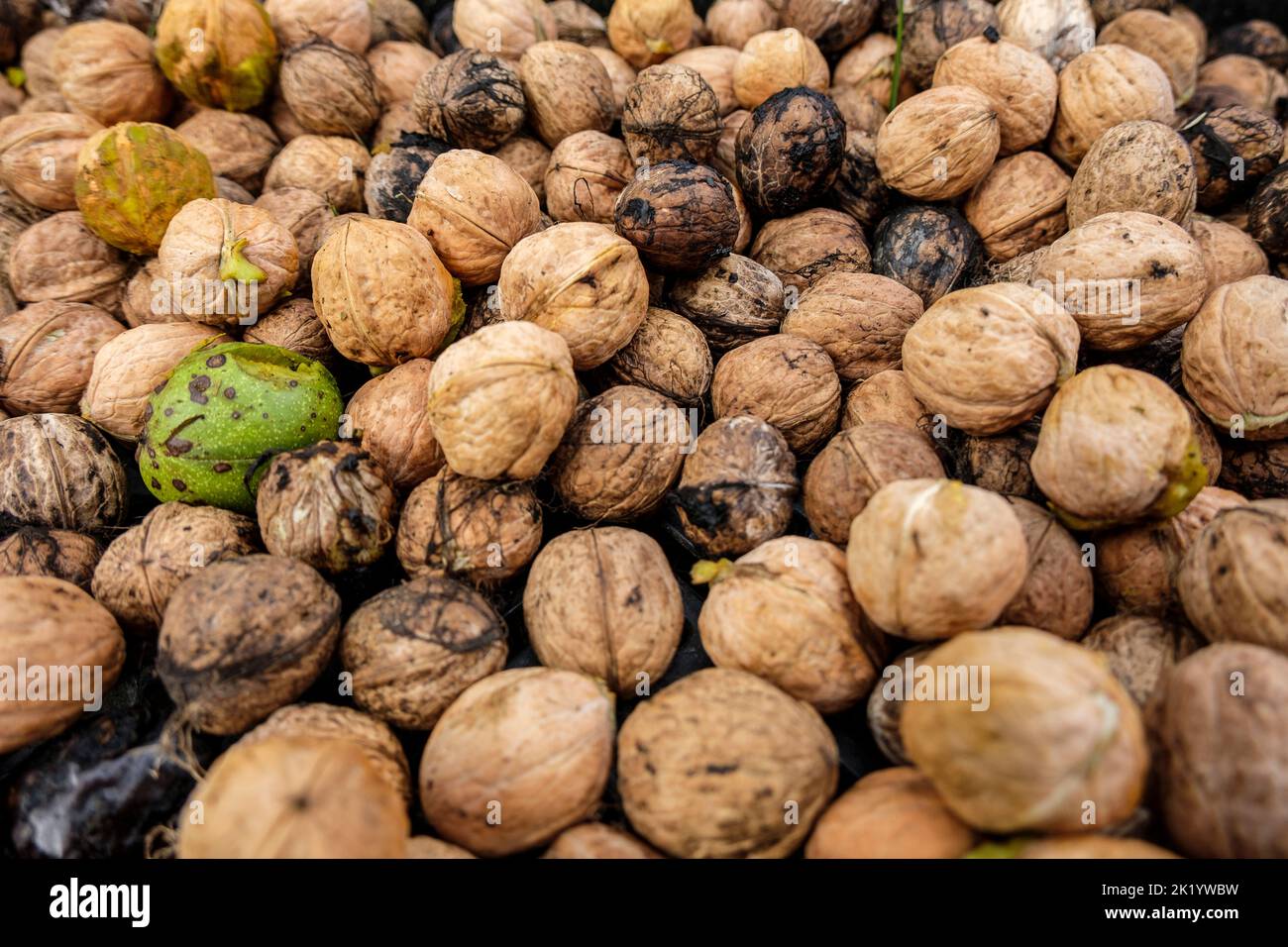Fruits a coque hi-res stock photography and images - Alamy