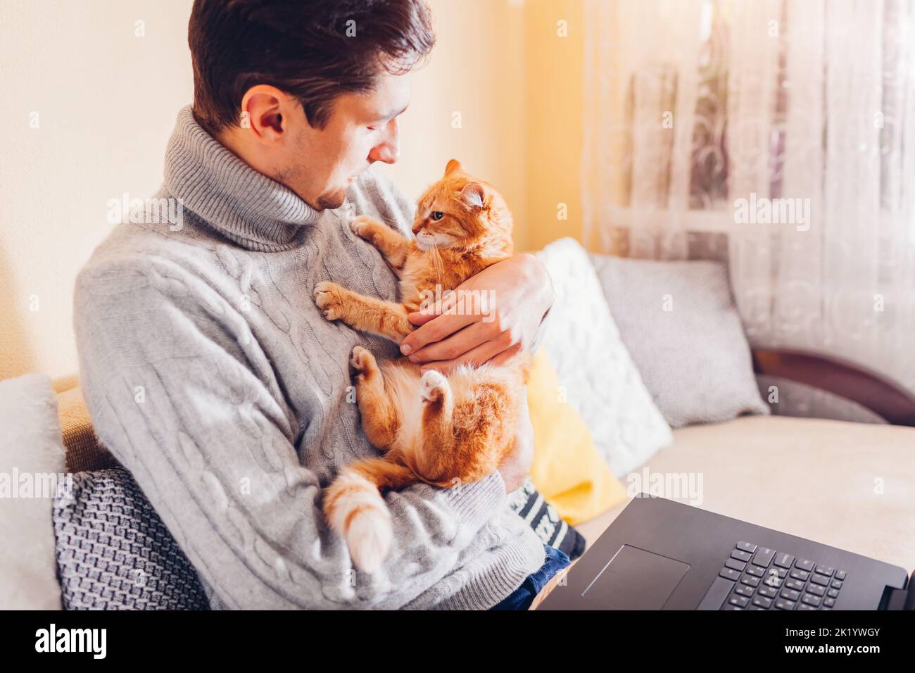 Man holding cat working in internet from home using laptop. Young ...