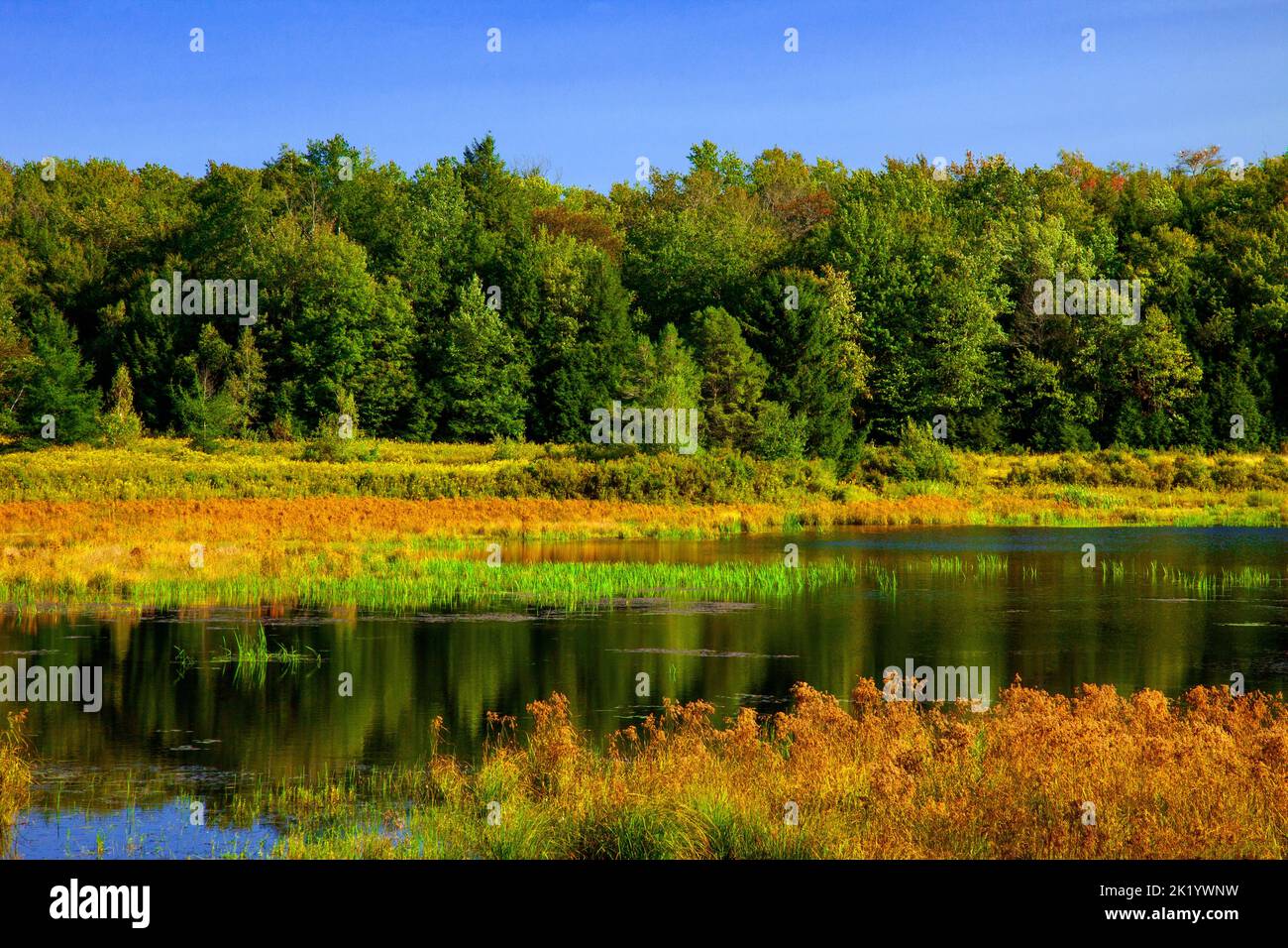 Upper Klondike Pond, along with its sister Lower Klondike Pond, on the ...