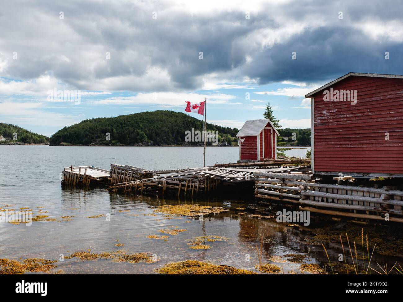 Red fishing sheds in rural Newfoundland community on the ocean Stock ...