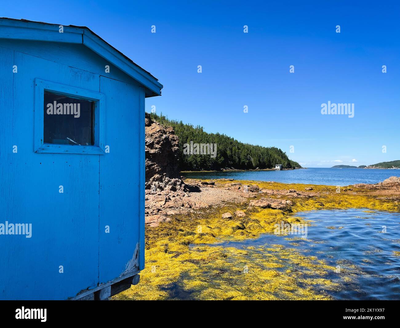 Blue fishing shed on the edge of the ocean in Newfoundland Stock Photo ...