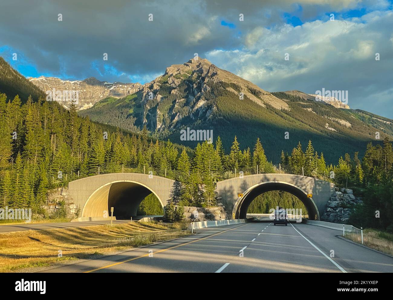 Animal bridge on highway through Banff National Park, Canada Stock ...
