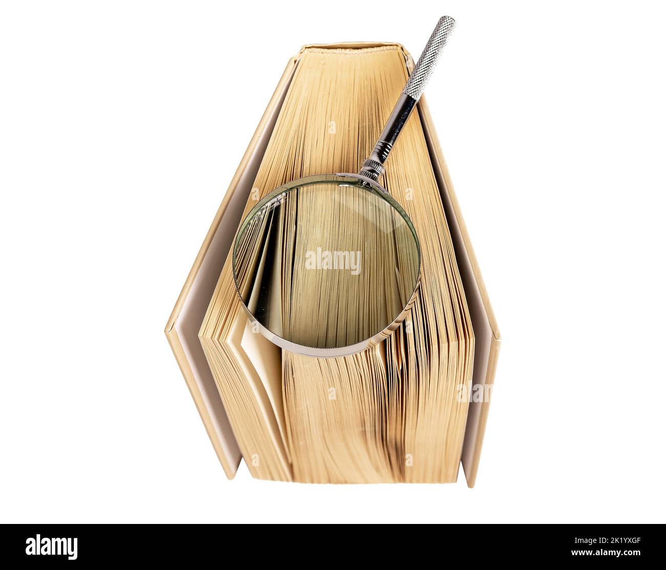 Phot editor Cut Out Stock Images & Pictures - Alamy