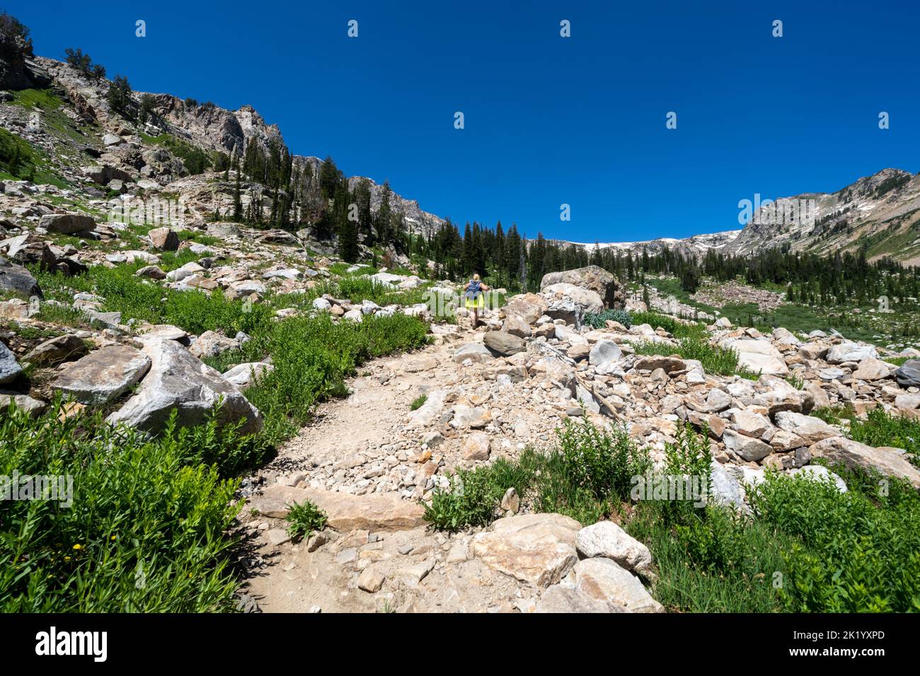 Blonde woman hiker wearing a backpack treks across a meadow along the ...