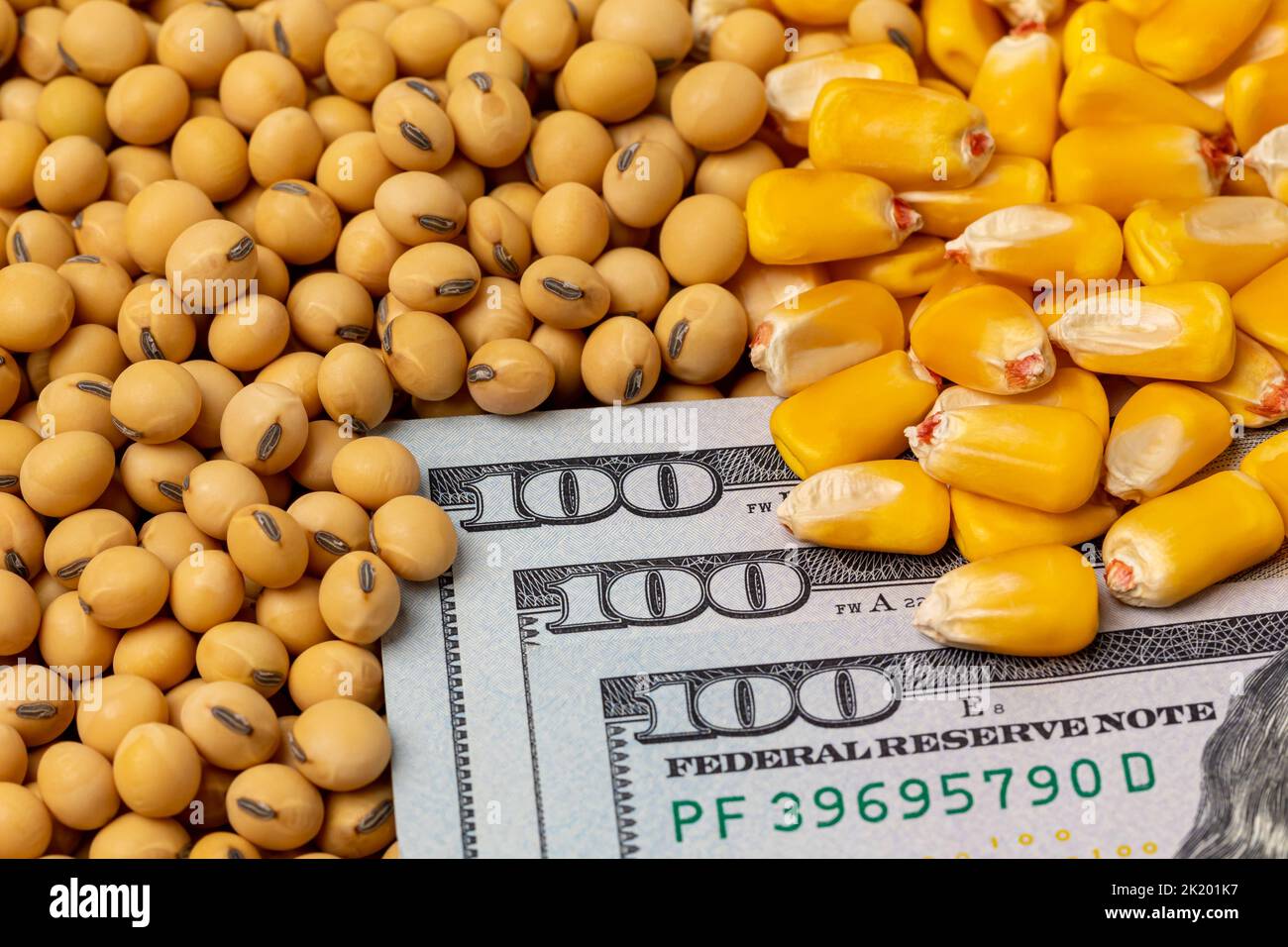 Corn crop farming hi-res stock photography and images - Alamy