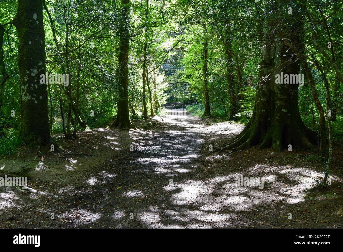 Tidal flow lane hi-res stock photography and images - Alamy