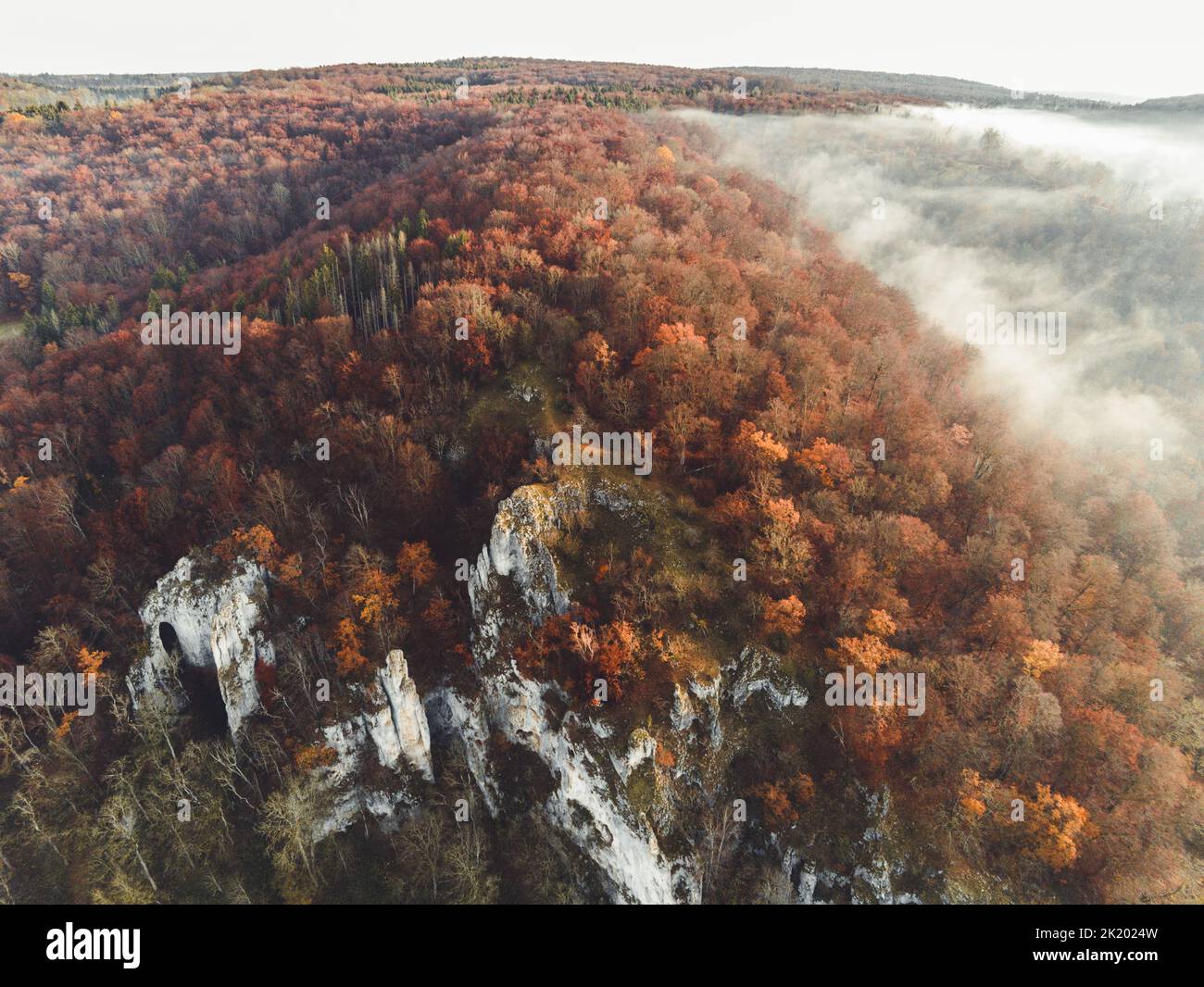Forest from Above Stock Photo - Alamy