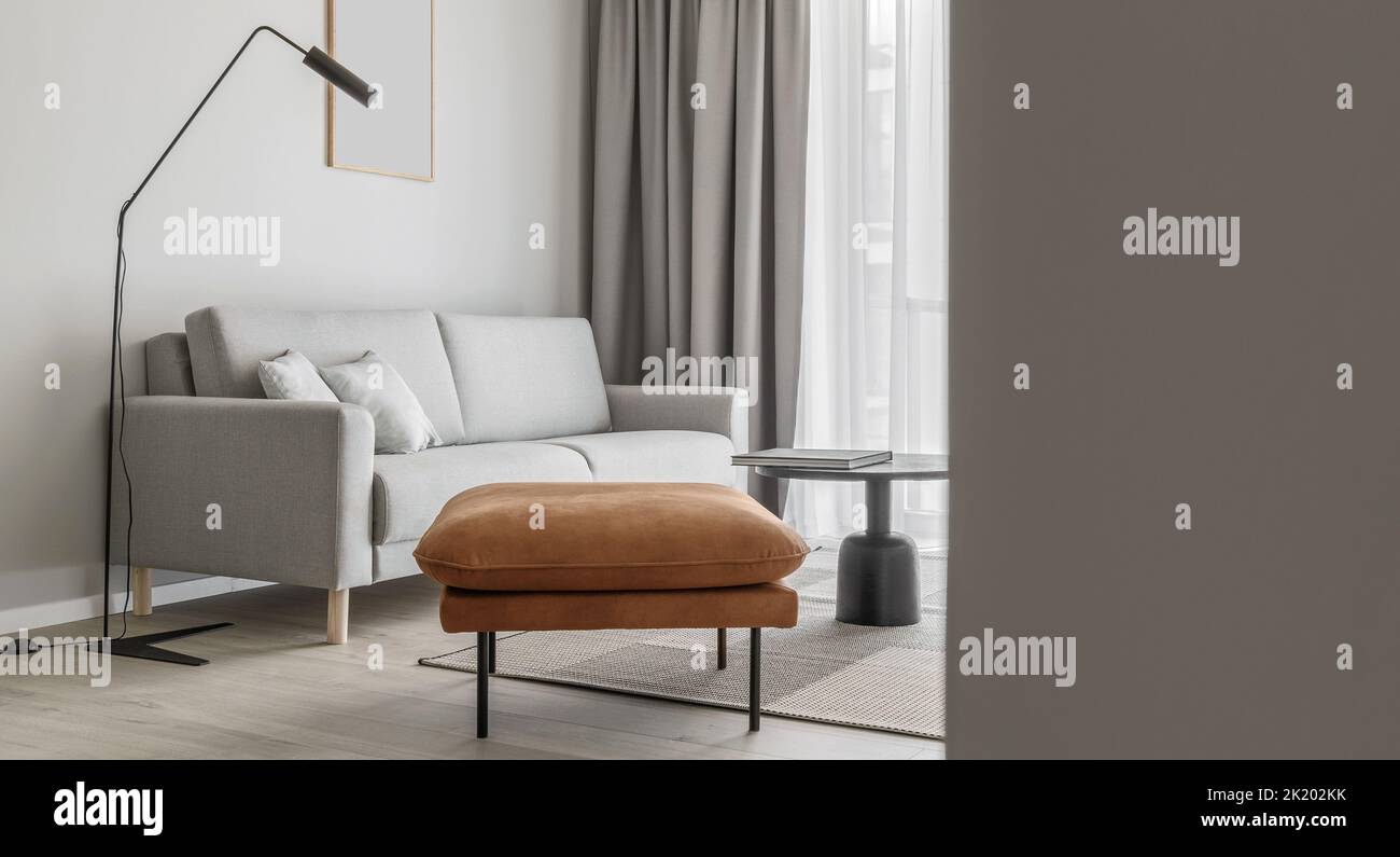 Modern minimalistic living room interior with grey sofa, leather seat ...