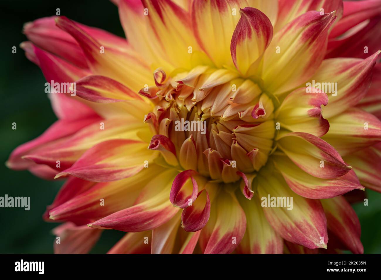 Fired up hi-res stock photography and images - Alamy