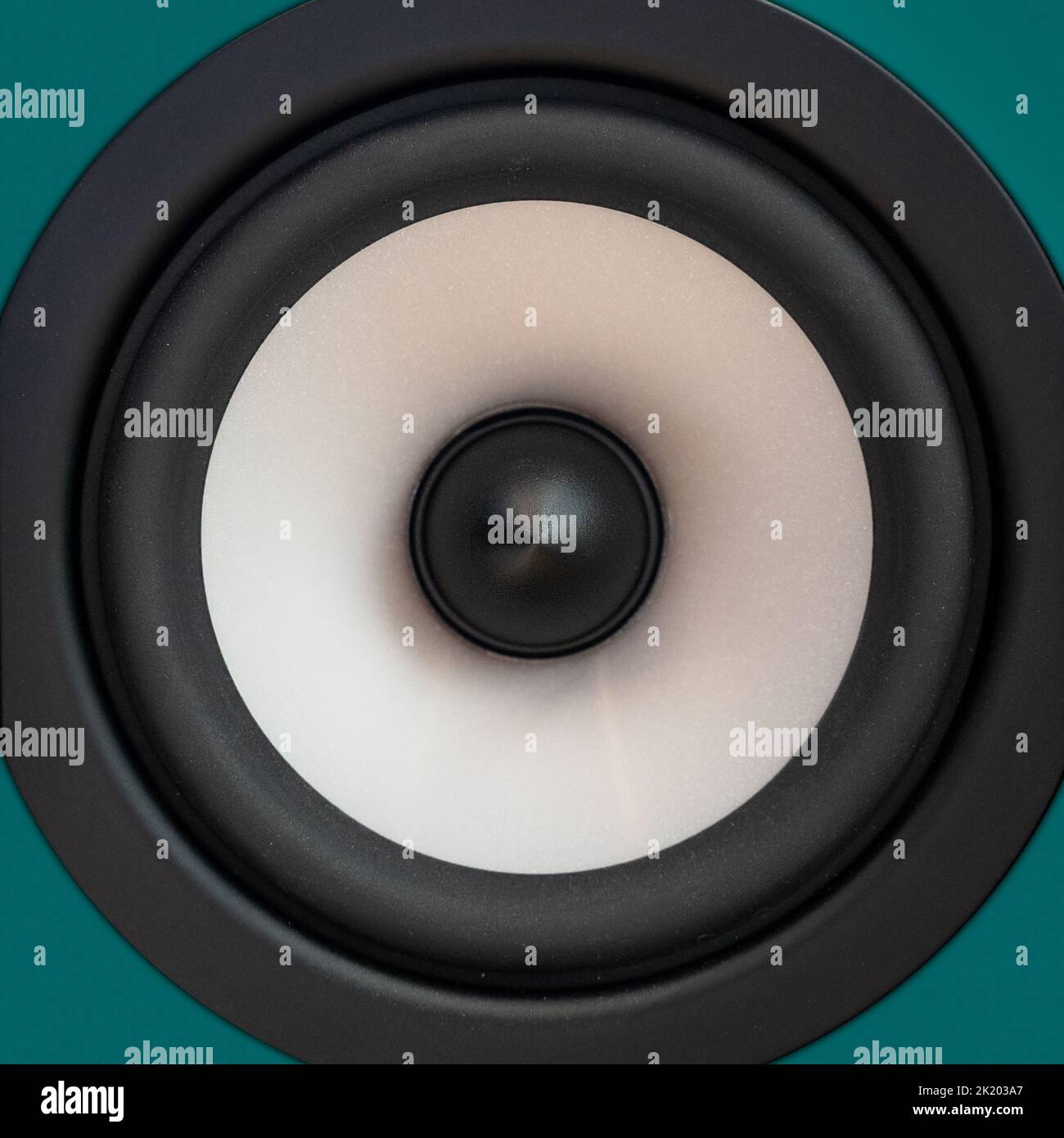 A black and white stereo speaker on a coral dark turquoise background ...
