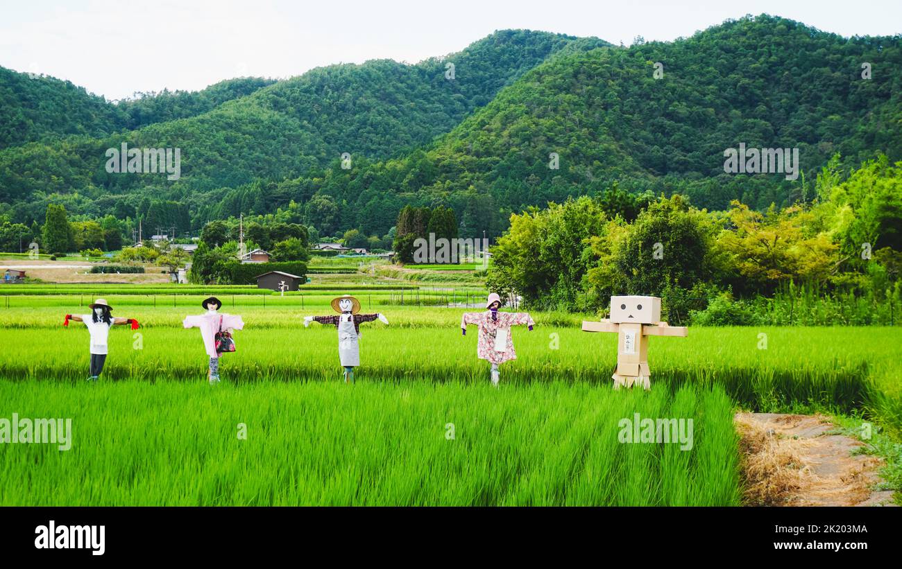 Japan scarecrows hi-res stock photography and images - Alamy