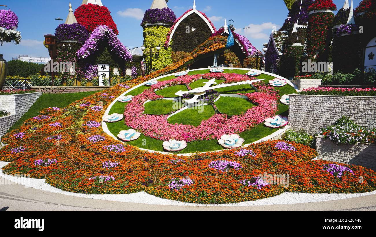 Dubai Miracle Garden, Dubai, United Arab Emirates Stock Photo - Alamy
