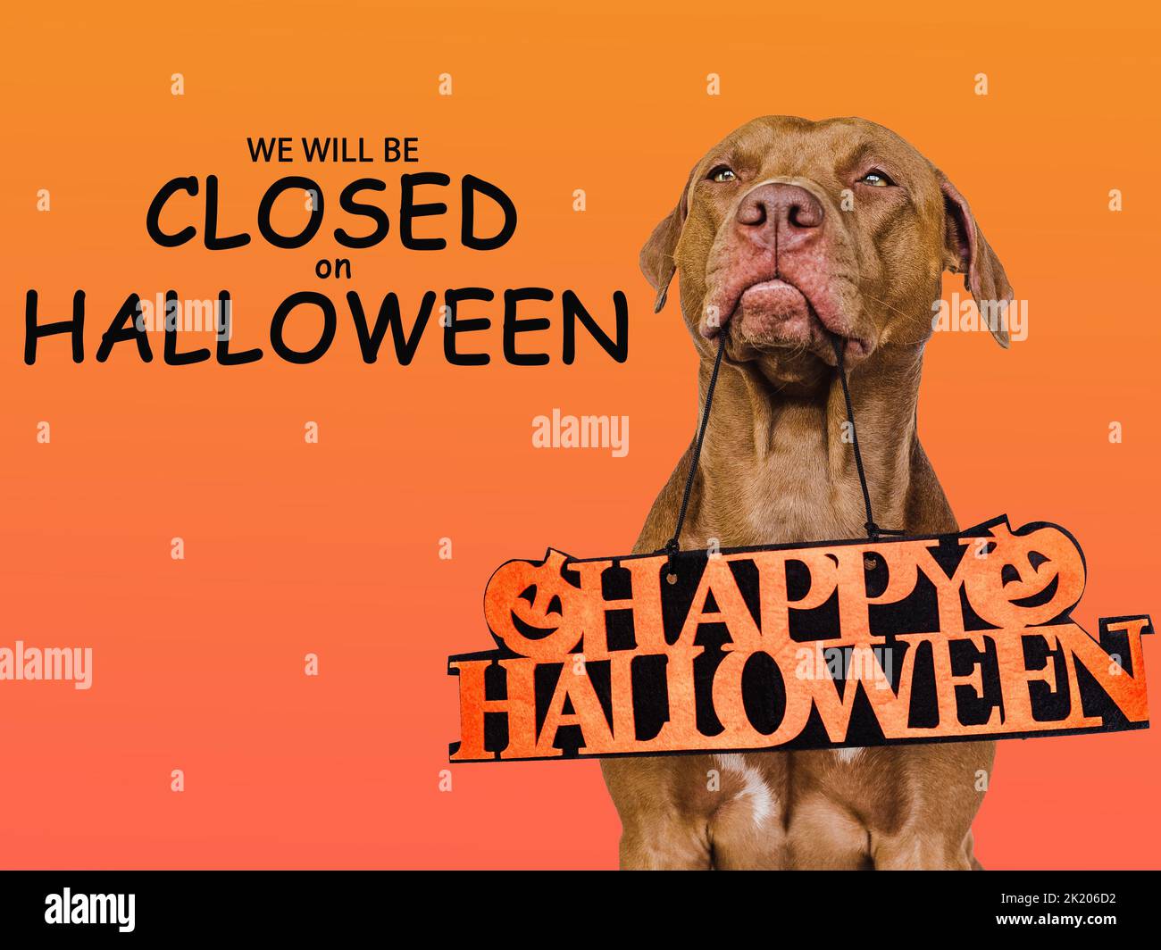 Signboard with the inscription We will be closed on Halloween Stock ...