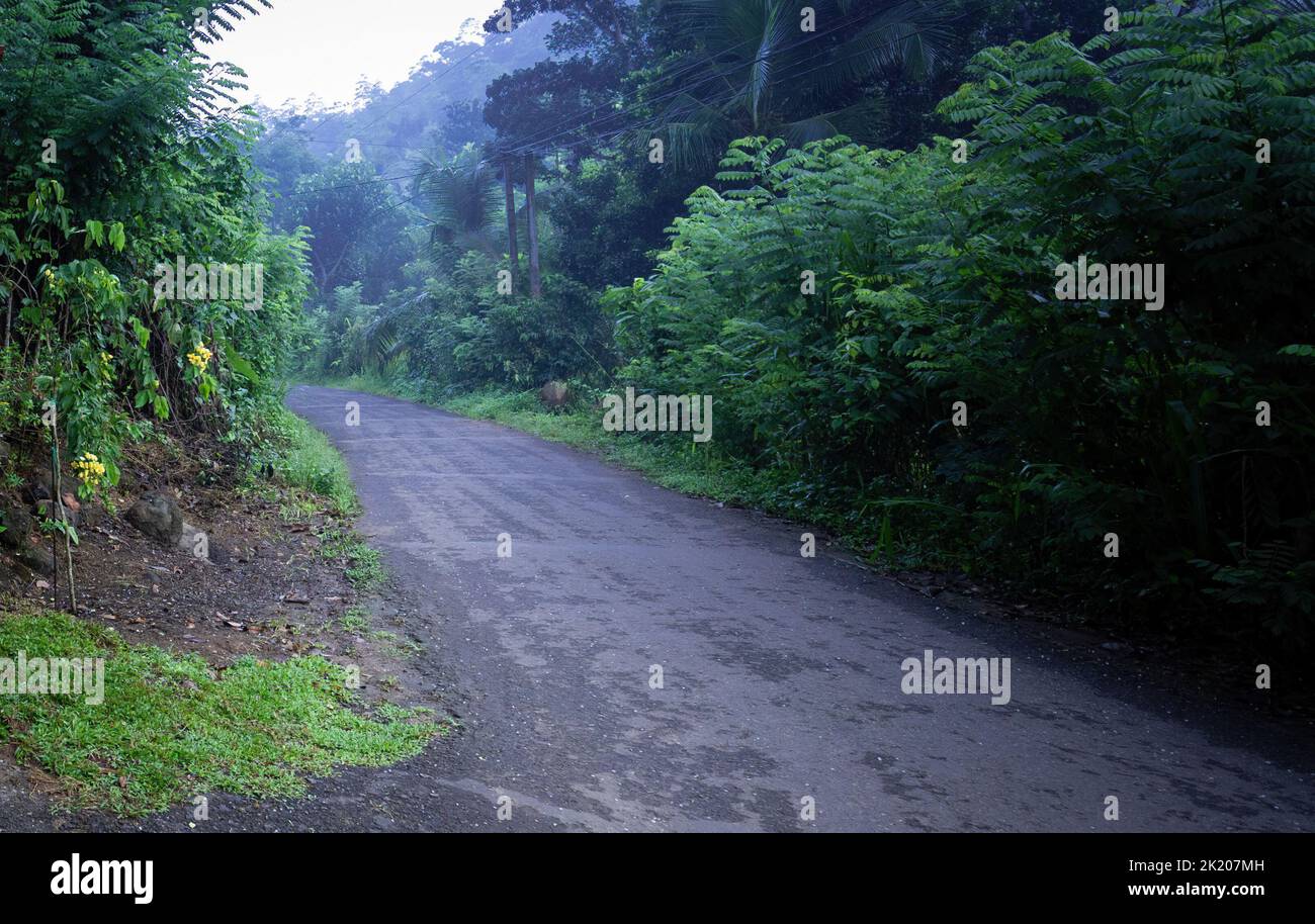 Road in early morning with light mist tarmac Stock Photo - Alamy