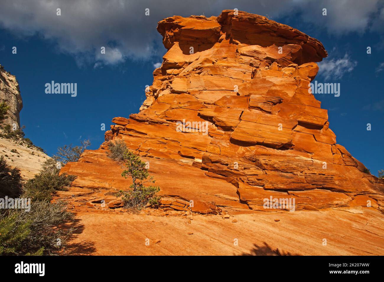 Zion National Park Landscape from Zion Park Boulevard near Springdale ...