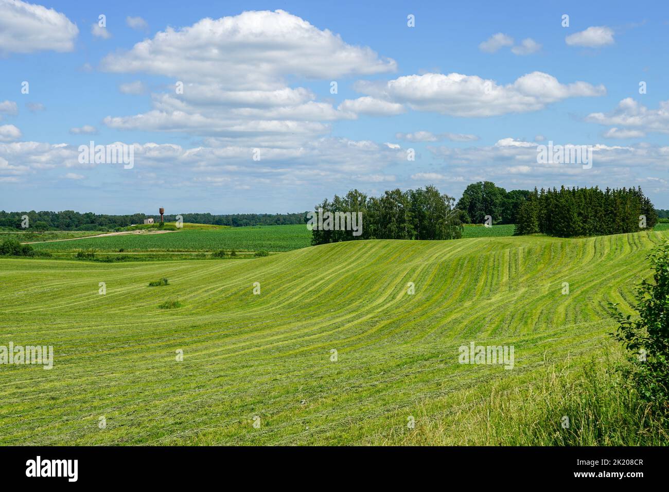 Mowed grassy open field hi-res stock photography and images - Alamy