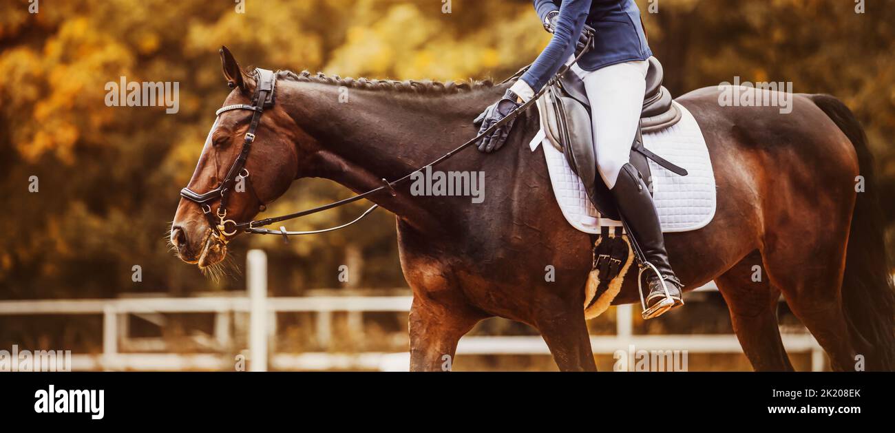 Woman sitting astride horse hi-res stock photography and images - Alamy