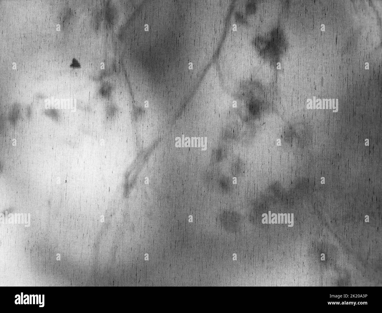 Neutral color background leaves Black and White Stock Photos & Images ...