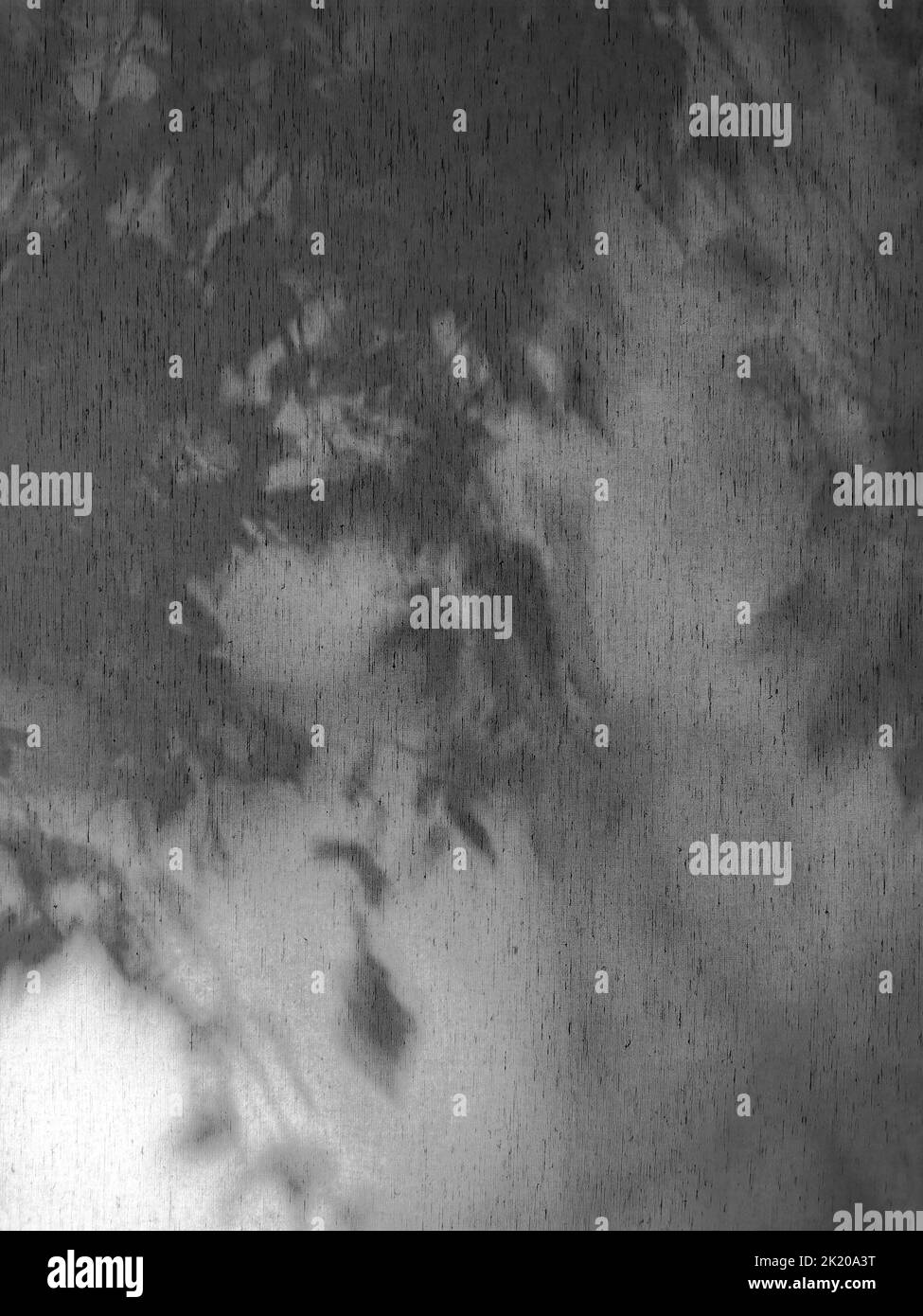 Background blurred shadows branches Black and White Stock Photos ...