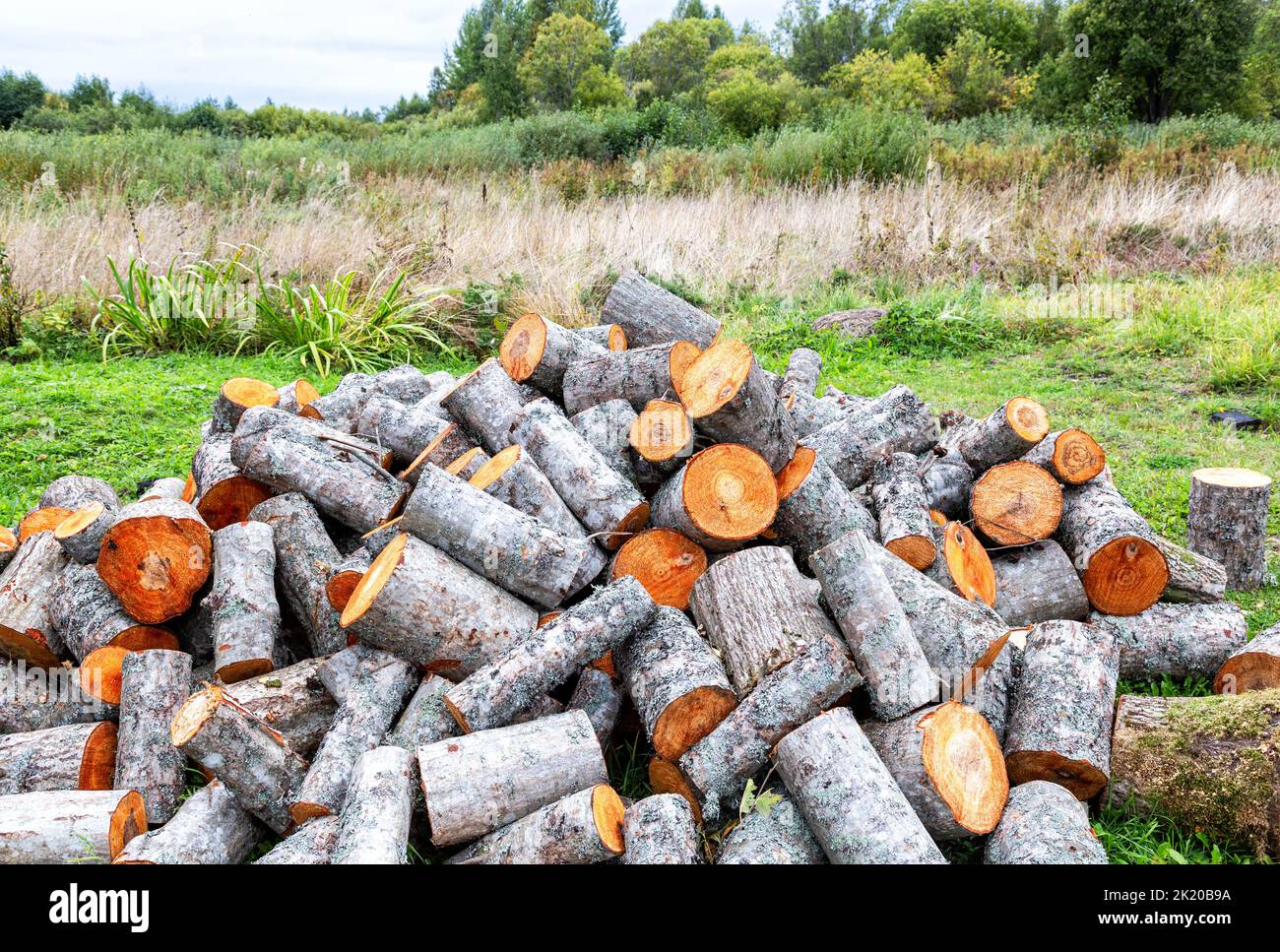 Chopped dry firewood at the countryside. Stock pile of timber, chopped ...