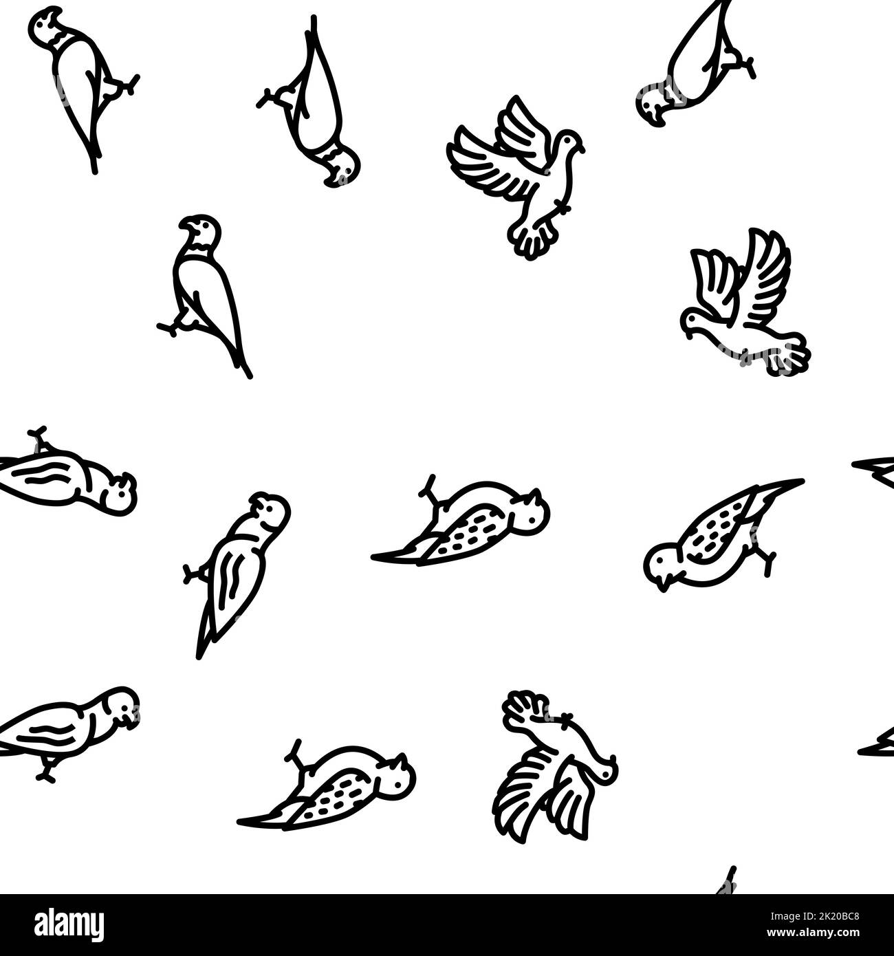 Bird Flying And Eggs In Nest vector seamless pattern Stock Vector Image ...