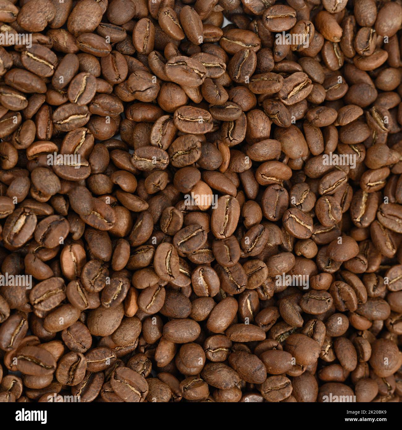 Aromatic and roasted coffee beans on a white background, place for ...